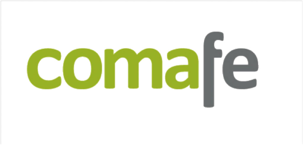 Comafe confía su estrategia comercial a una consultora especializada en ...
